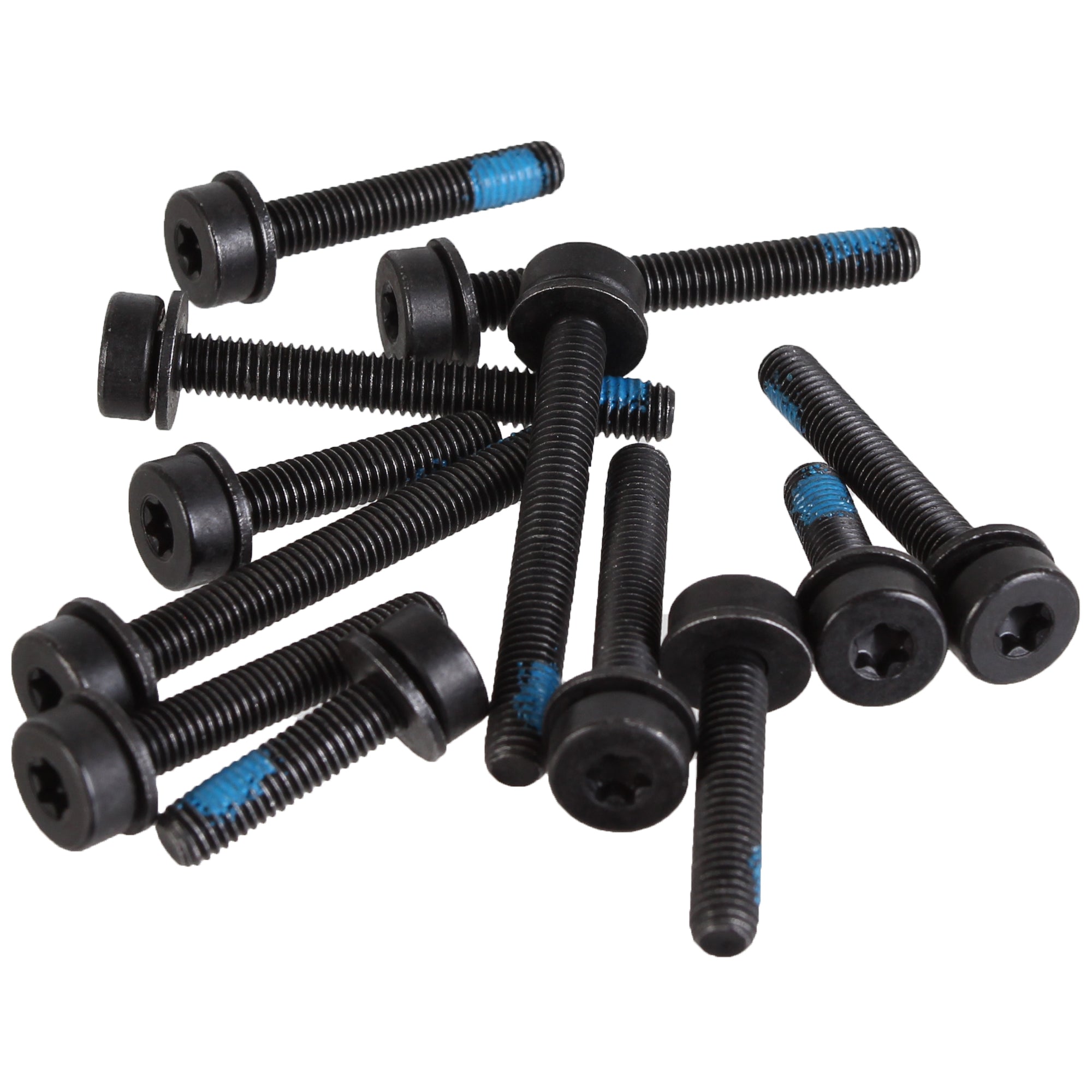 Magura T25 Flat Mount Screw Set Rear -12/Count Kit – The Bike Hub